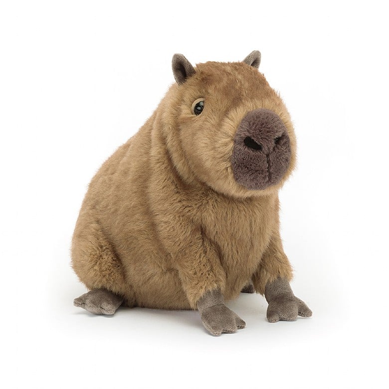 Jellycat Clyde Capybara – Princess and the Pea Boutique
